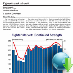 Individual Reports – Teal Group